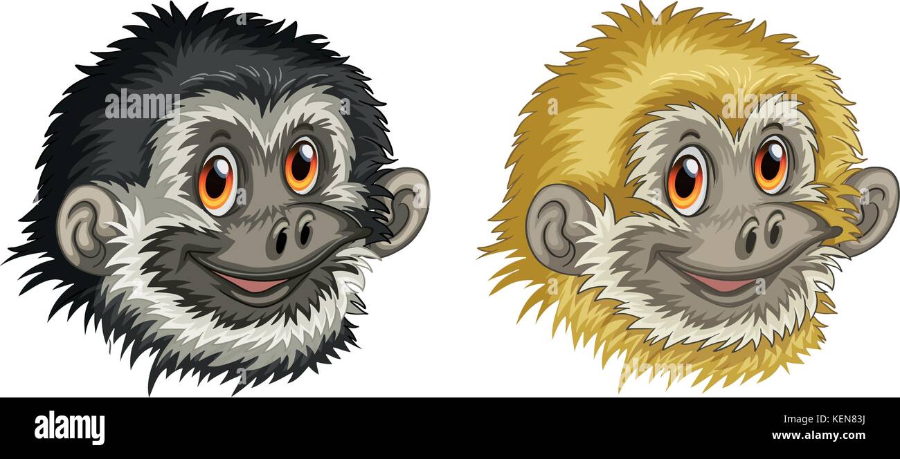 Cartoon Smiling Gibbon High Resolution Stock Photography and Images - Alamy