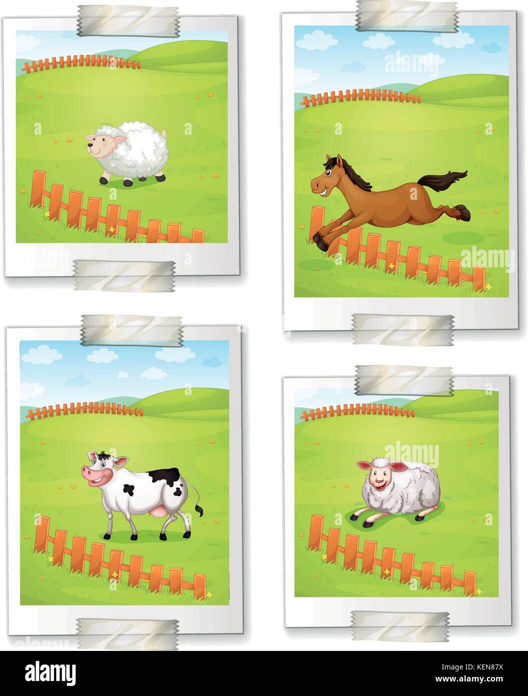 Four photos of animals illustration Stock Vector Image & Art - Alamy
