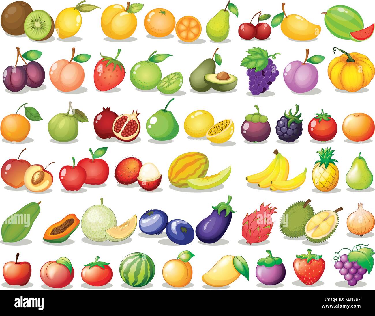 Illustration of a set of fruit Stock Vector Image & Art - Alamy