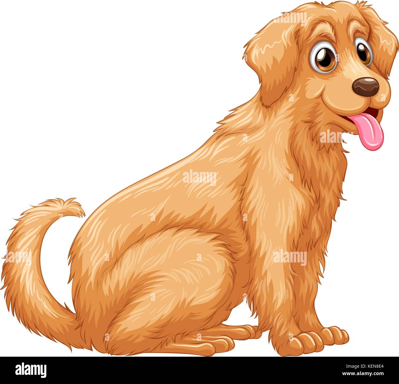 Fluffy dog sitting in Stock Vector Images - Alamy