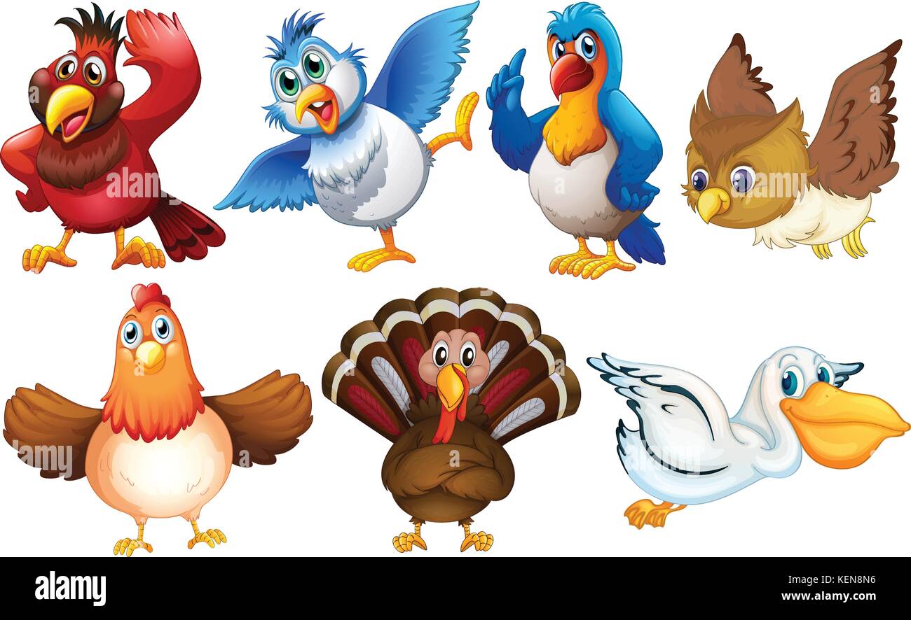 Illustration of different kind of birds Stock Vector Image & Art - Alamy