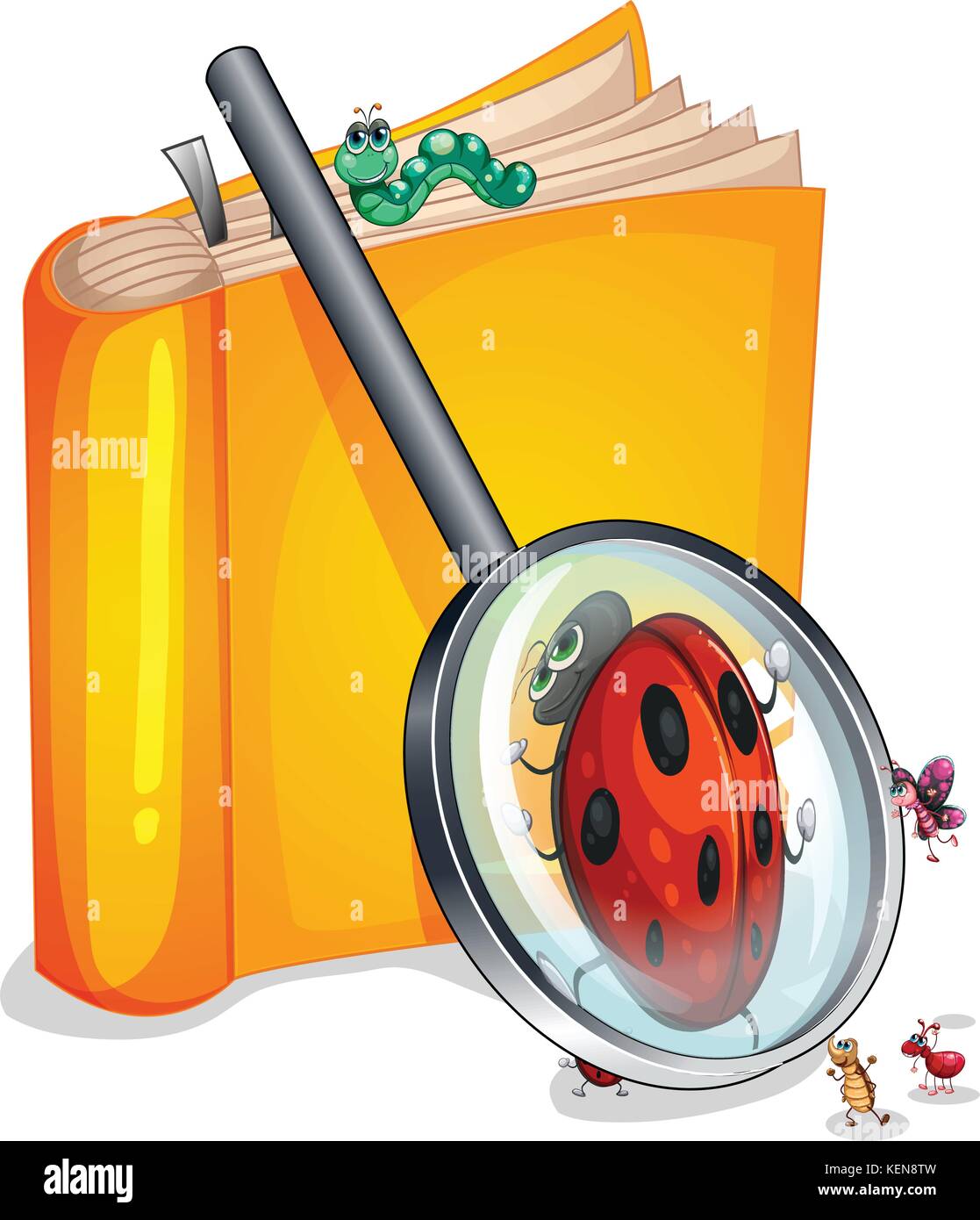 Book worm bug hi-res stock photography and images - Alamy