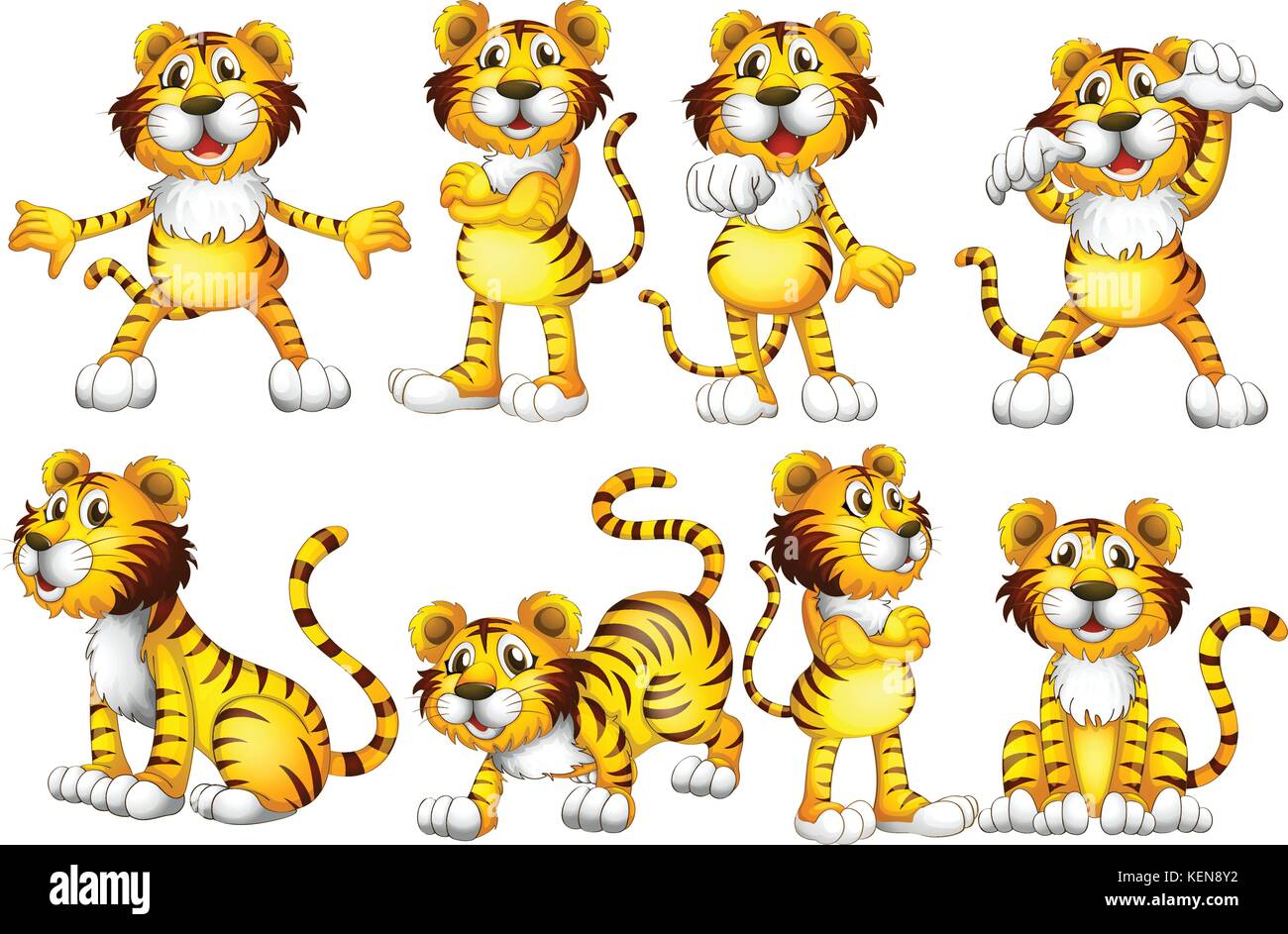 Illustration of a group of tigers Stock Vector Image & Art - Alamy