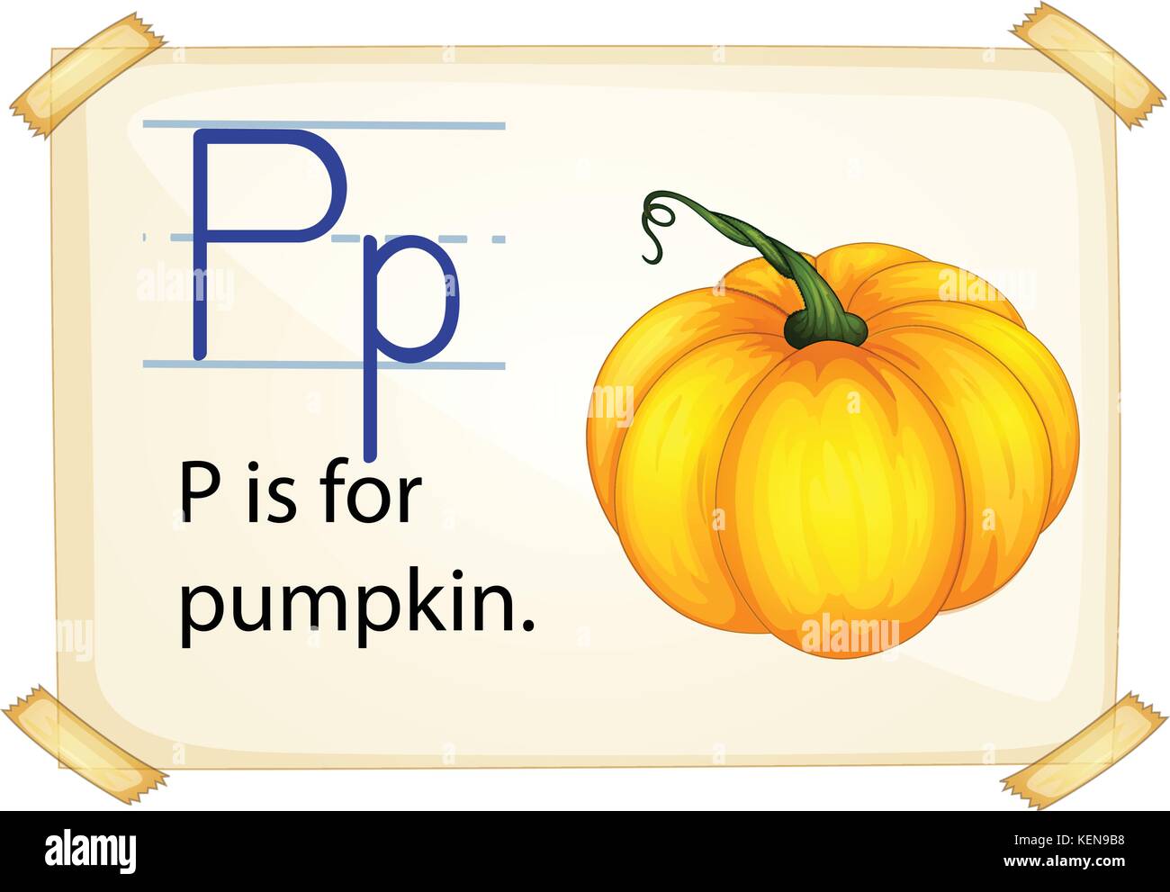 A letter P for pumpkin on a white background Stock Vector Image & Art ...