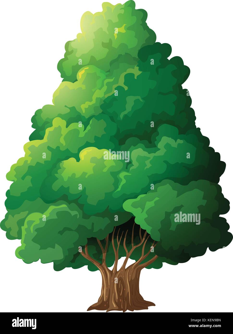 Illustration of a single tree Stock Vector Image & Art - Alamy