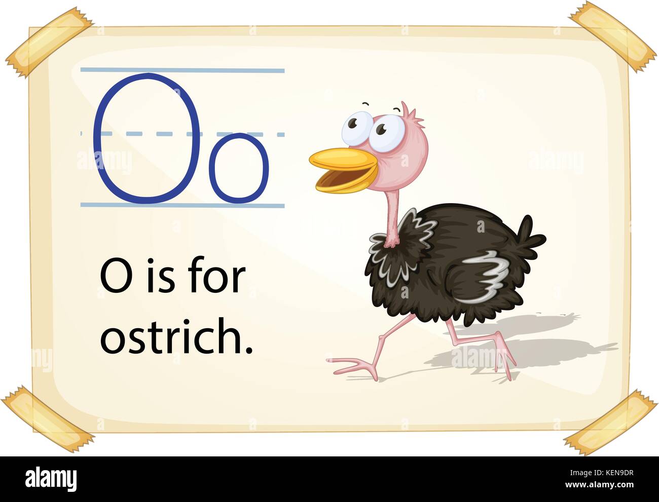 A letter O for ostrich on a white background Stock Vector Image & Art ...