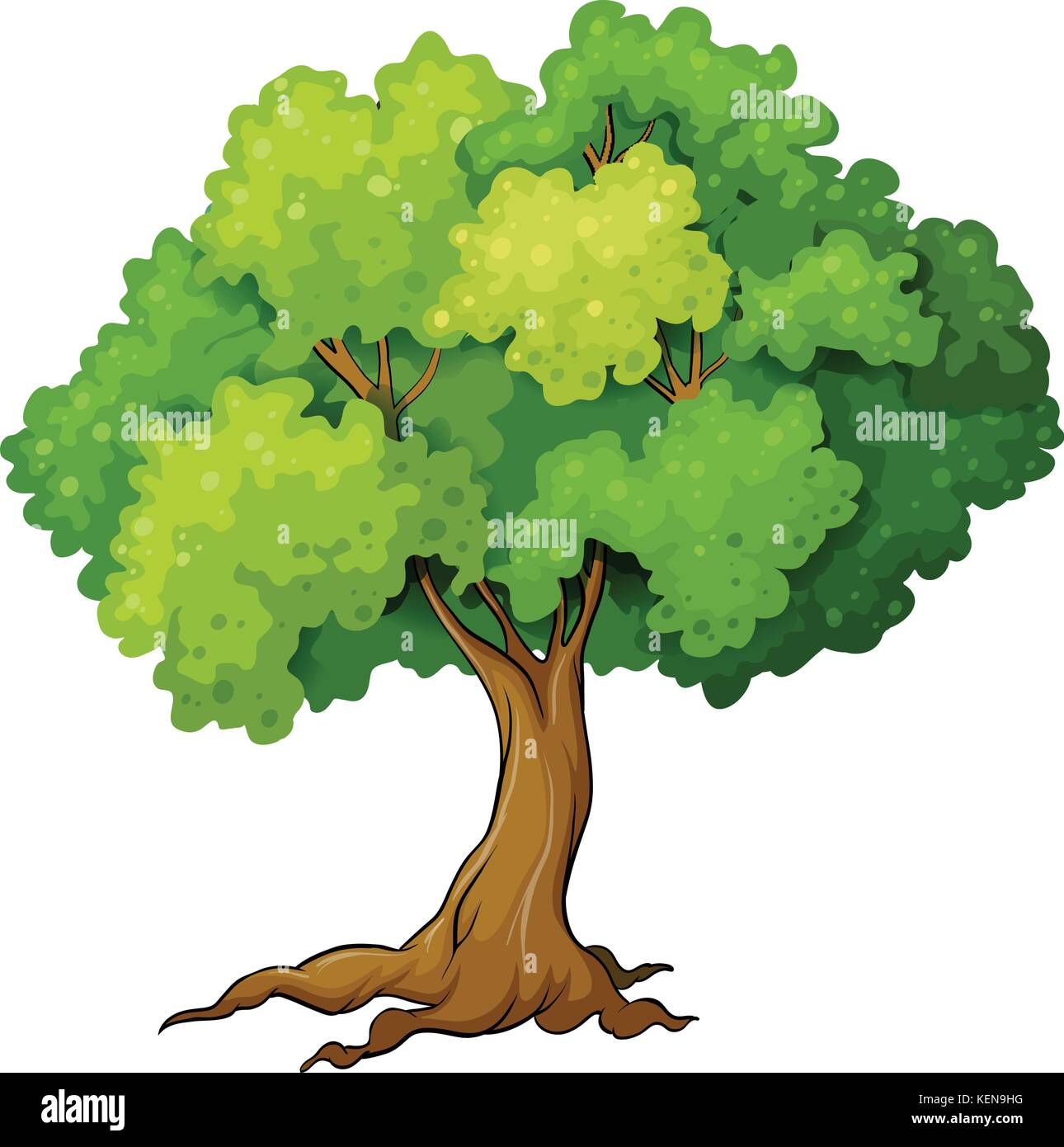 illustration of a close up tree Stock Vector Image & Art - Alamy