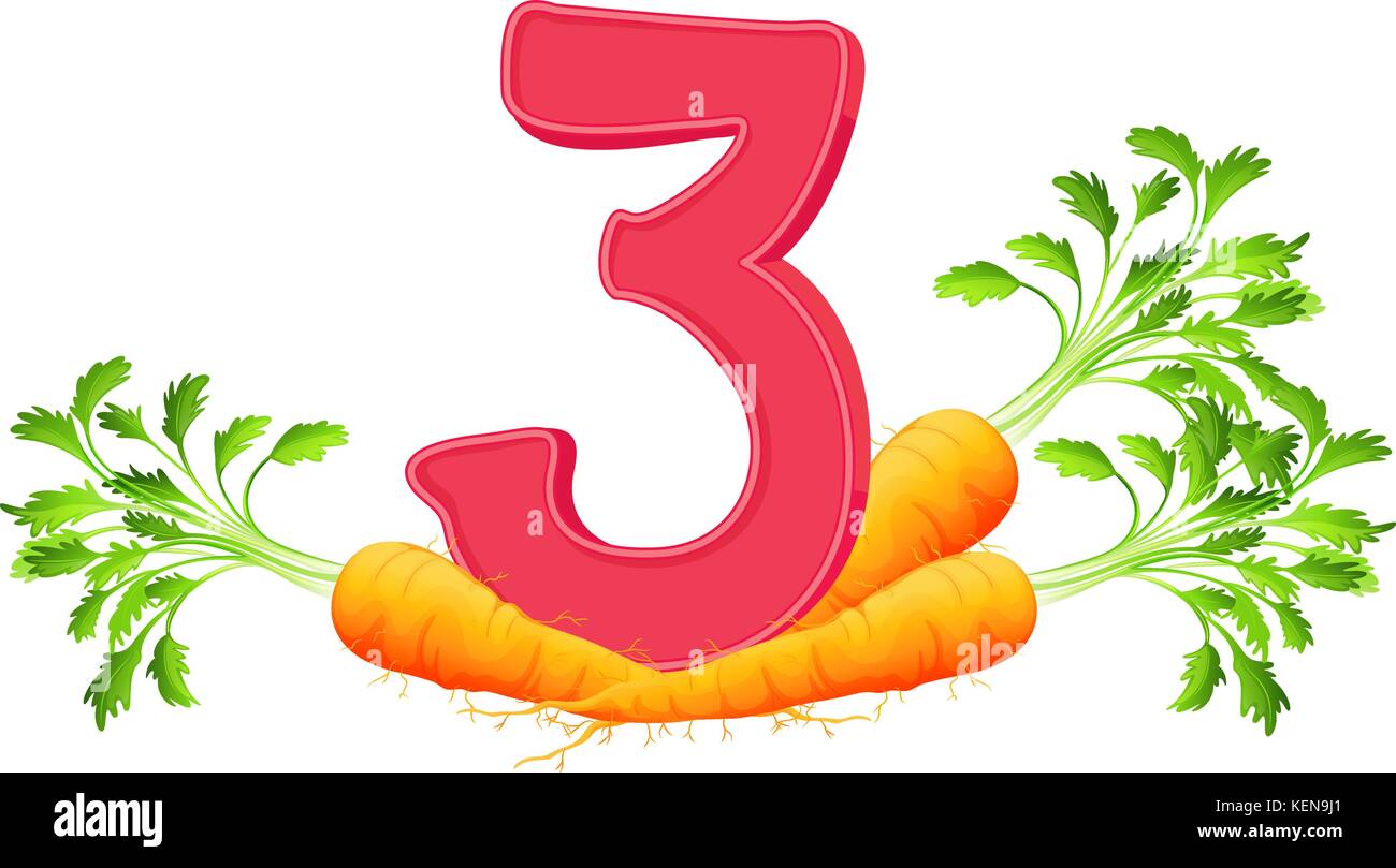 Illustration of the three carrots on a white background Stock Vector ...