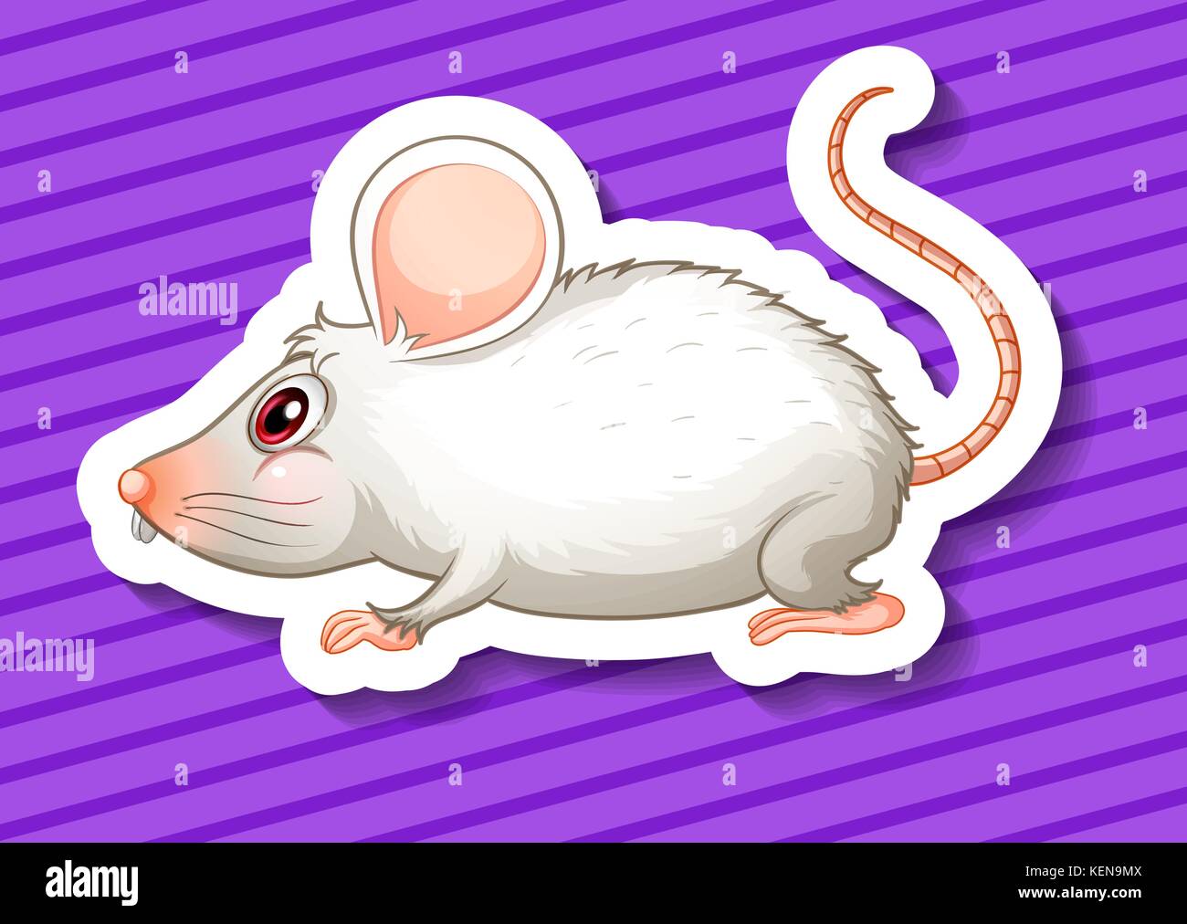 illustration of a close up mouse Stock Vector Image & Art - Alamy