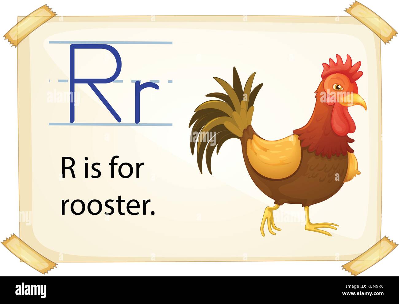 A letter R for rooster on a white background Stock Vector Image & Art ...