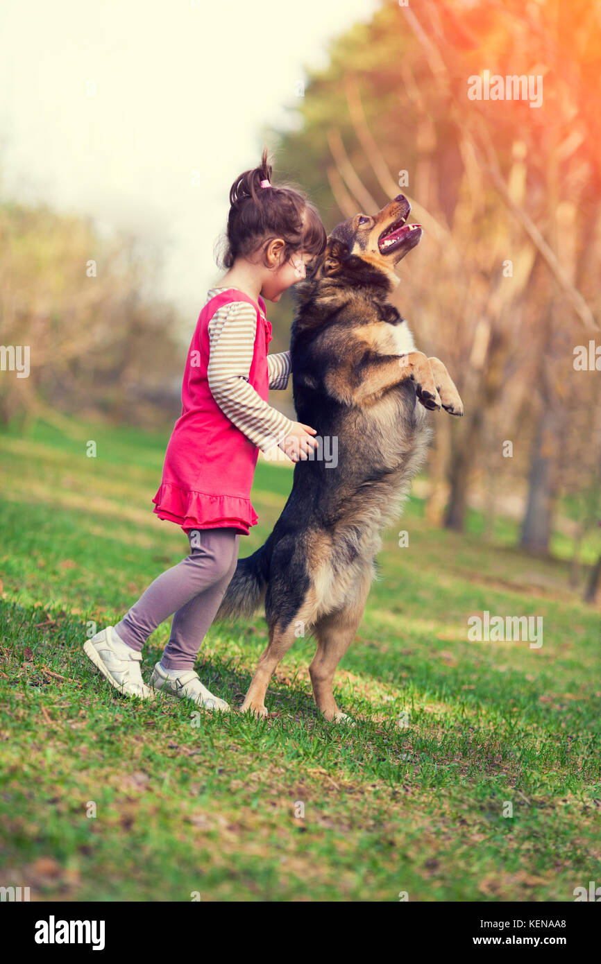 Little girl schooling dog outdoor. Begging dog and kid. Dog standing on ...