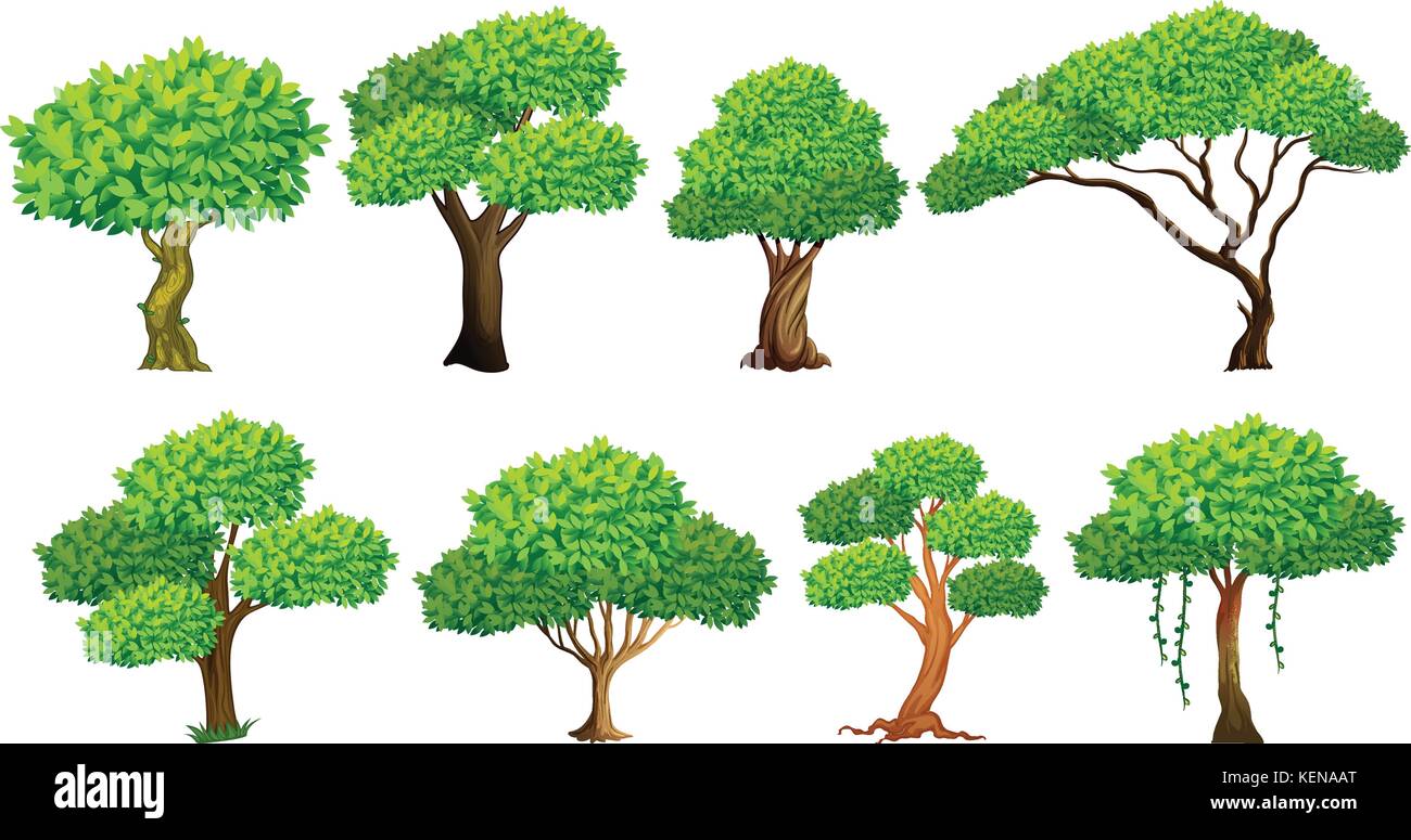 Illustration of a set of many trees Stock Vector Image & Art - Alamy