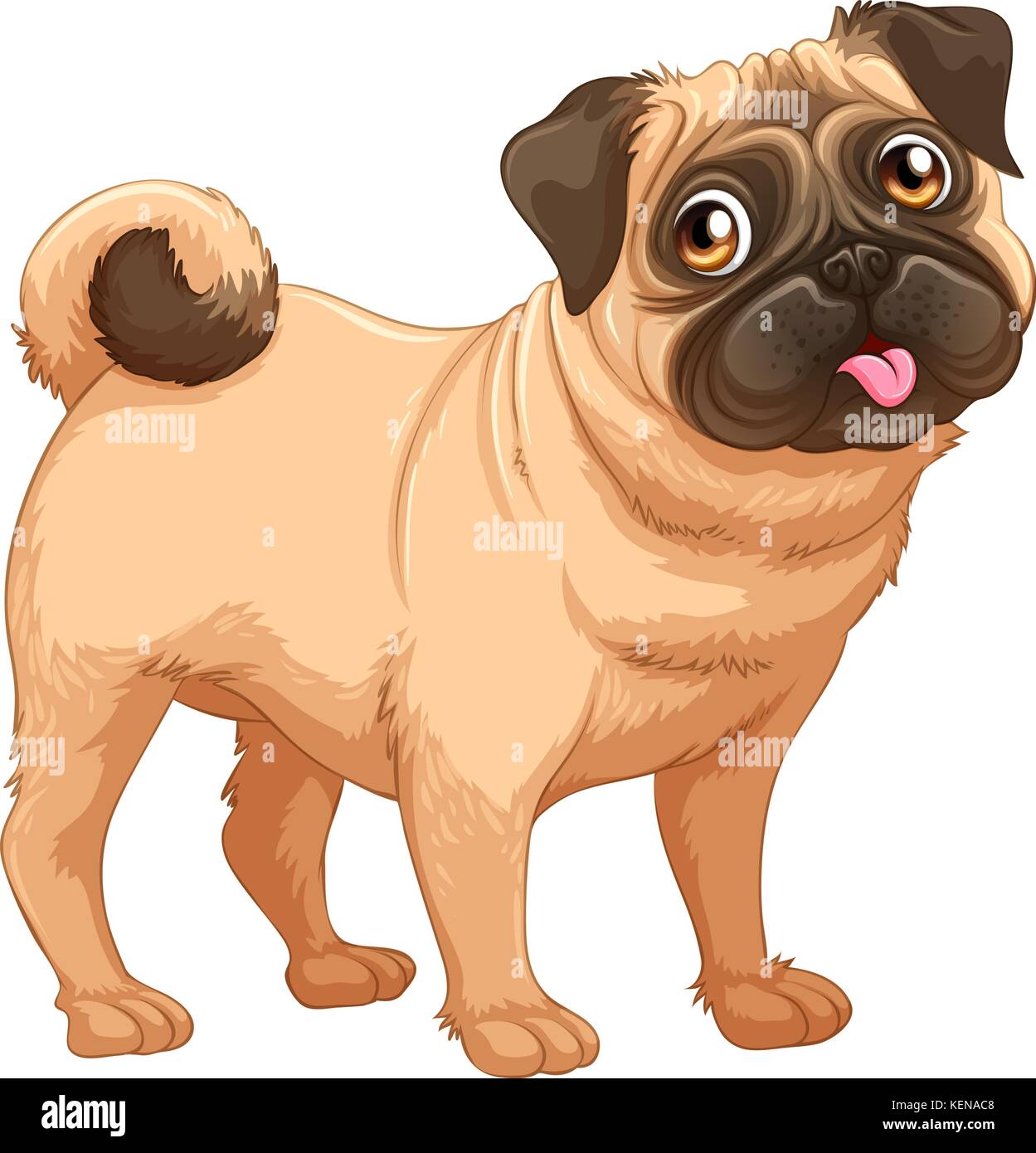 Flashcard of a dog standing alone Stock Vector Image & Art - Alamy