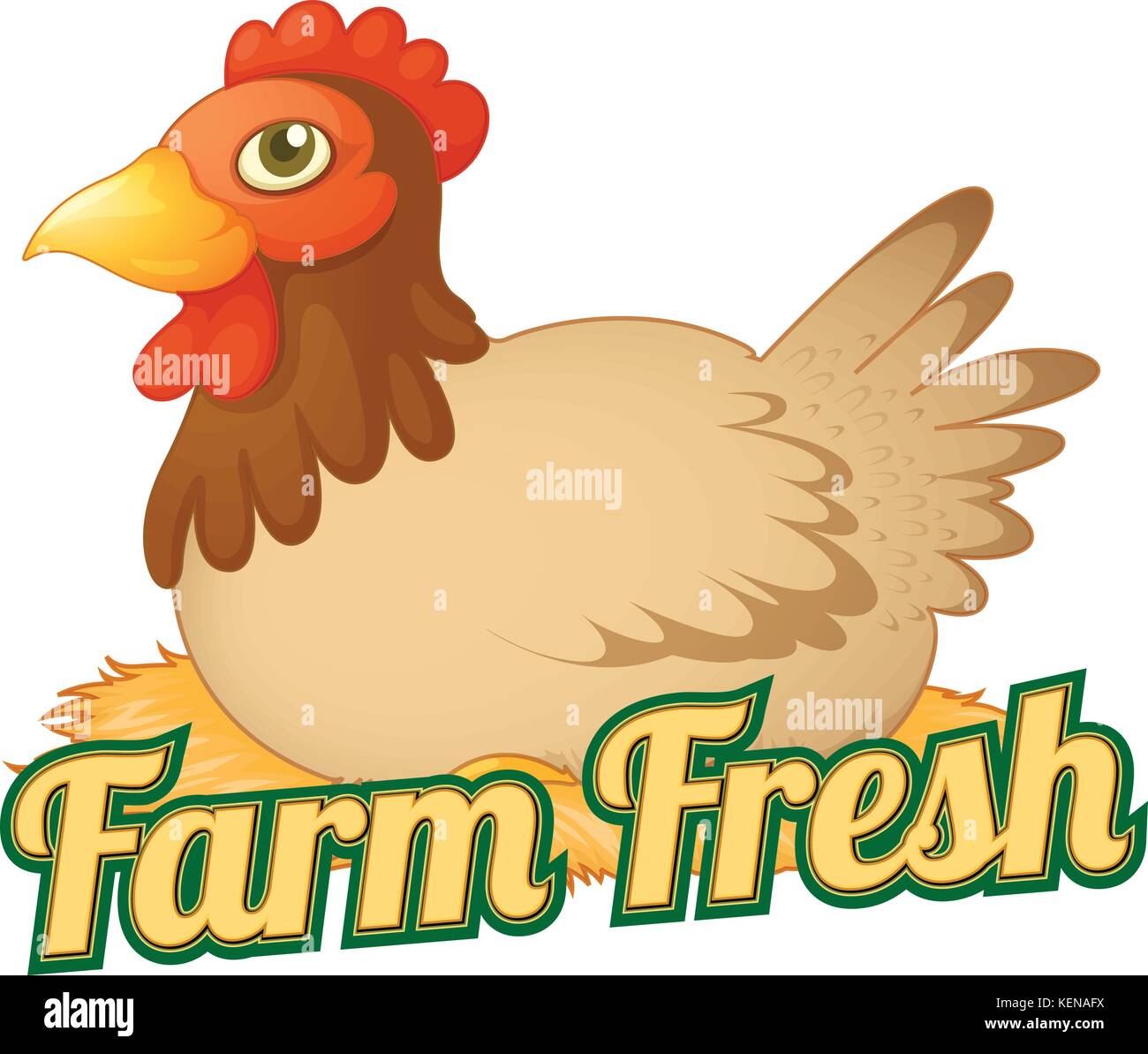 Illustration of chicken farm fresh Stock Vector Image & Art - Alamy