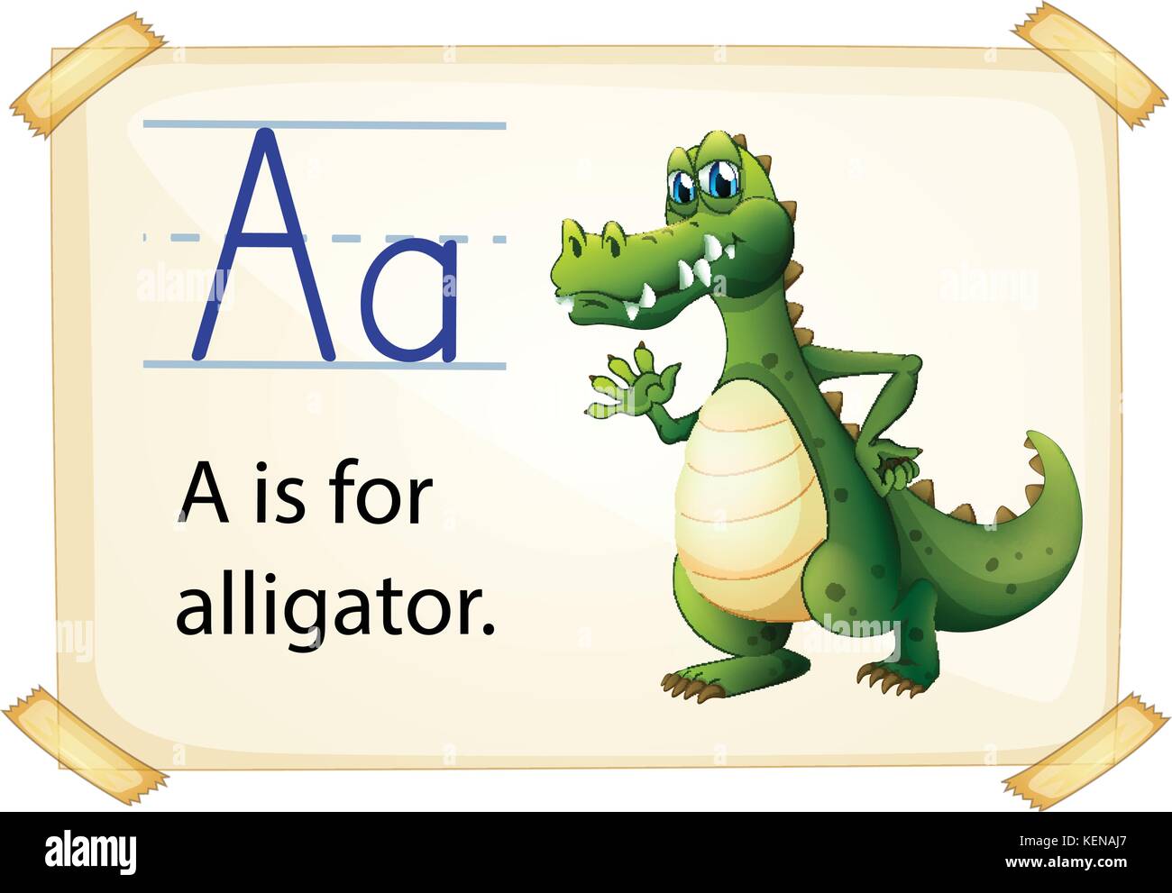 Alligator flashcard poster with letters Stock Vector Image & Art - Alamy