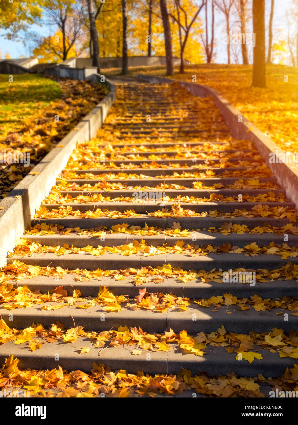 Stone stair path with colored leaves on sunny day Stock Photo - Alamy