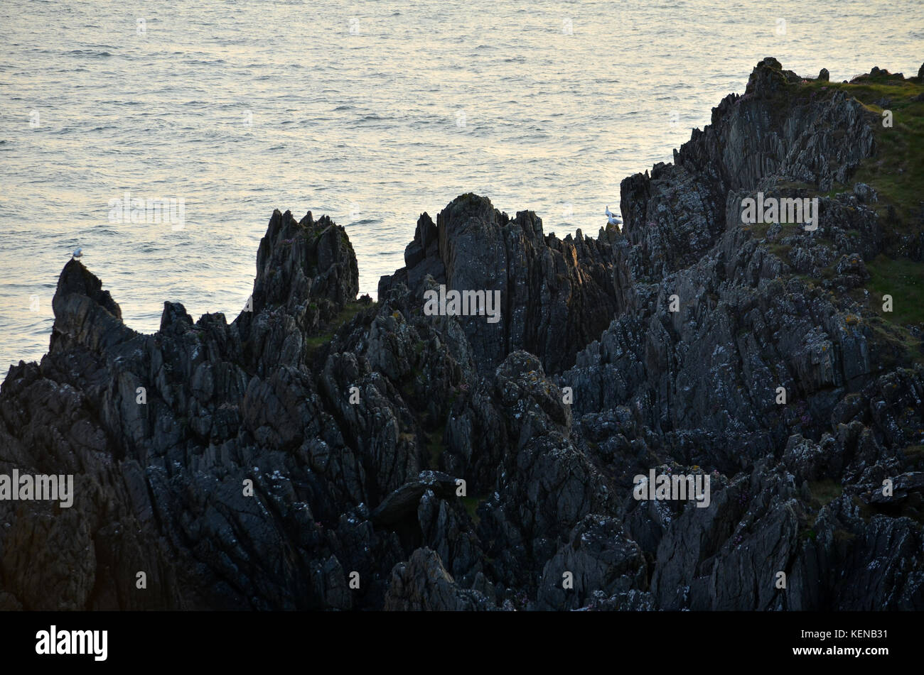 Burrowhead hi-res stock photography and images - Alamy