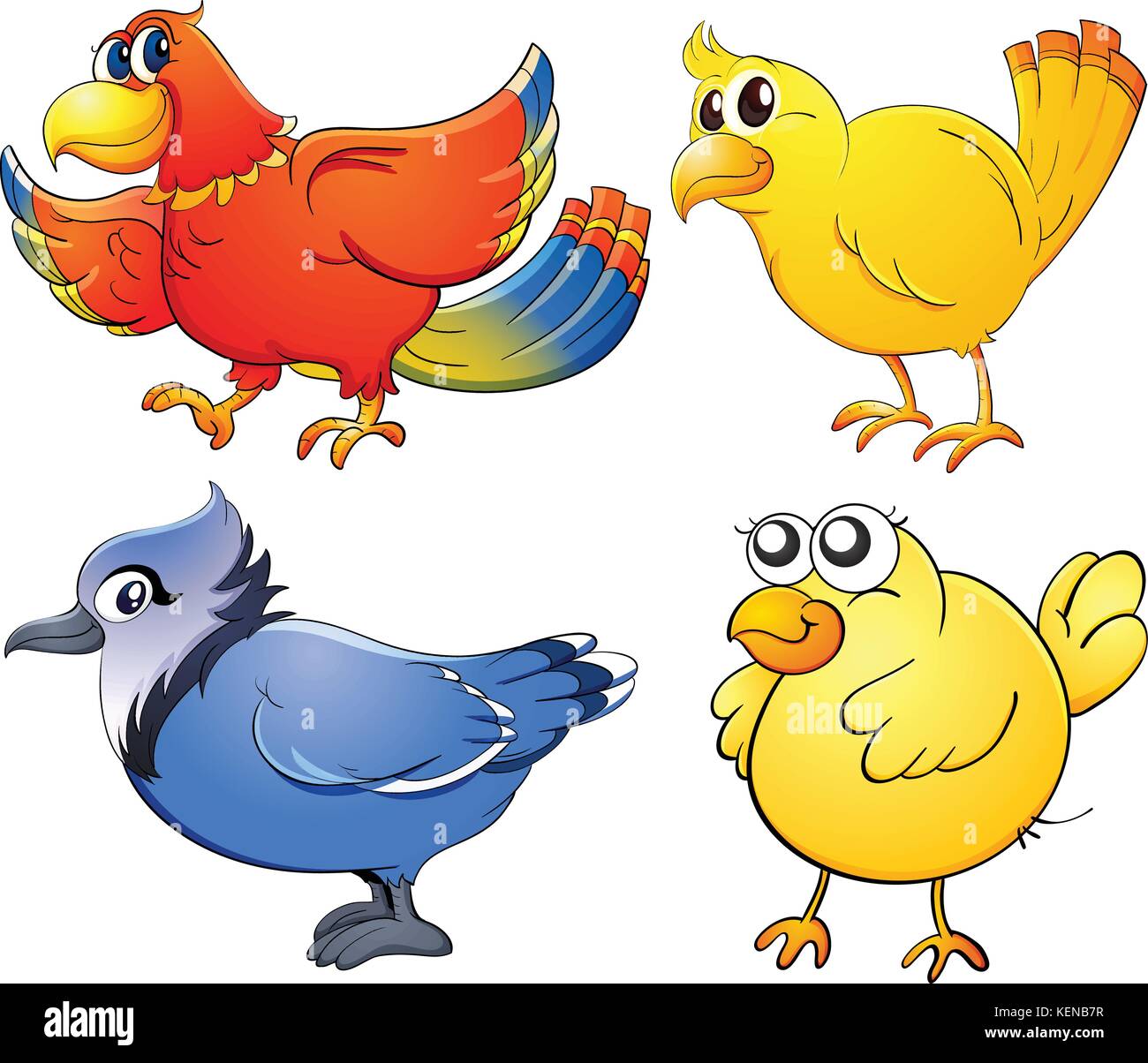 Illustration of four kind of birds Stock Vector Image & Art - Alamy