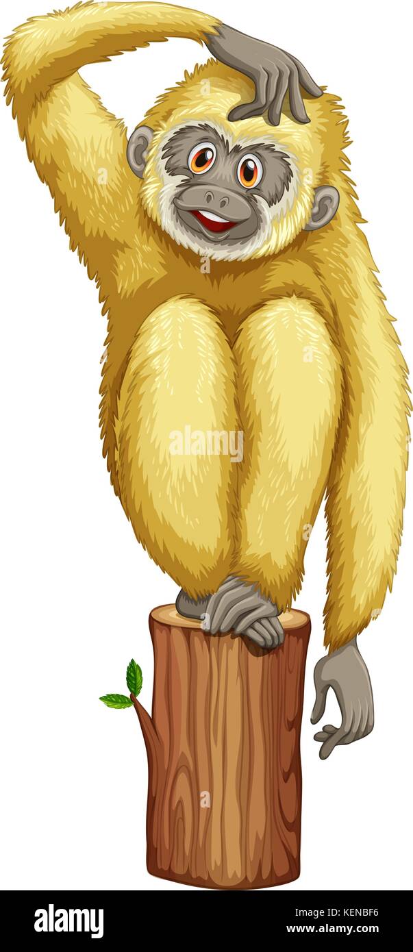 Illustration of a yellow chimpanzee on a white background Stock Vector ...