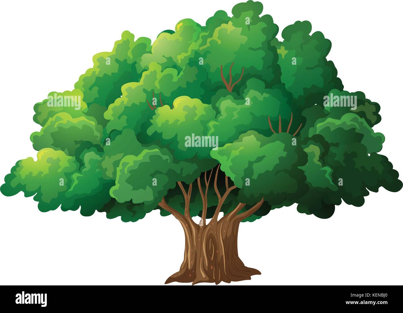 Illustration of a single tree Stock Vector Image & Art - Alamy