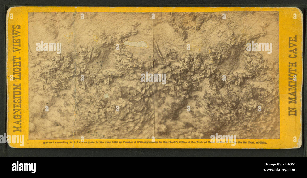 Rosa's Bower (with gypsum formations in the shape of flowers), from ...