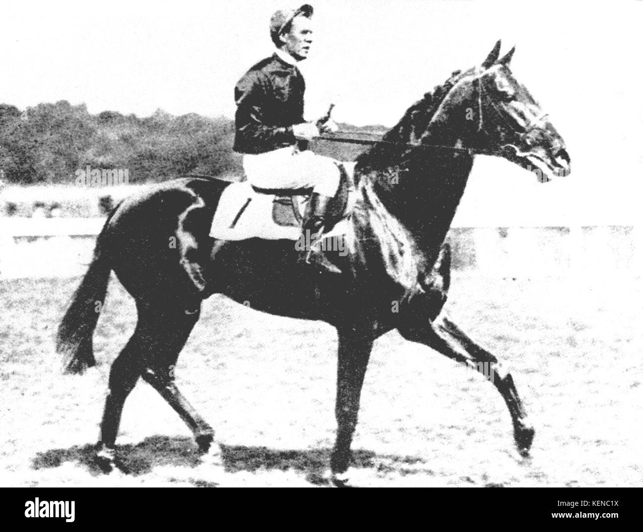 Pharis hi-res stock photography and images - Alamy