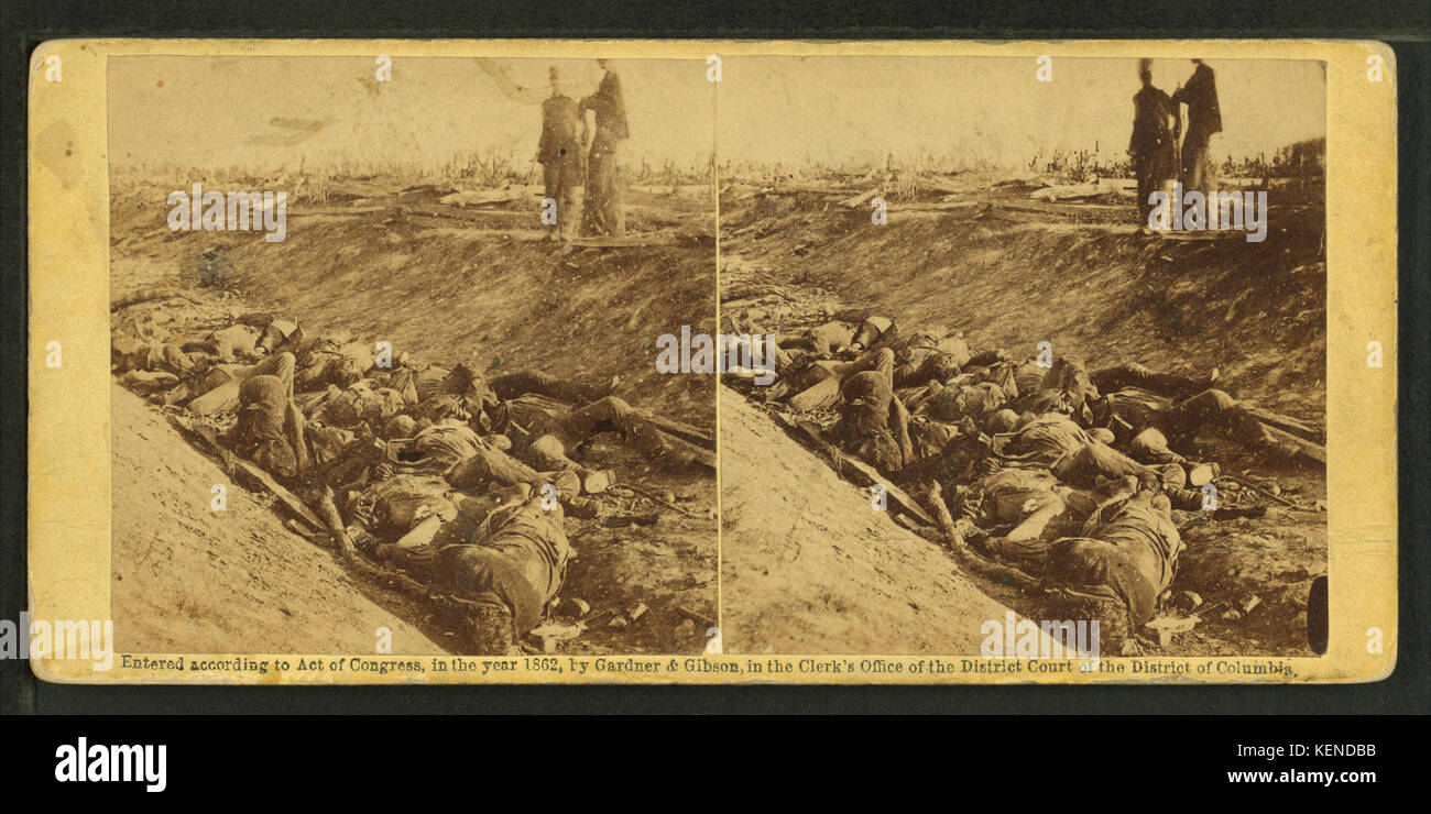 Dead in a ditch hi-res stock photography and images - Alamy