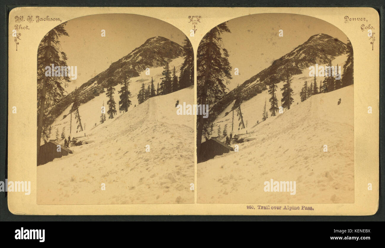 Trail over Alpine Pass, by Jackson, William Henry, 1843 1942 Stock ...