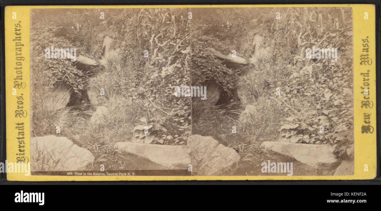 The Bierstadt Brothers captured this iconic view of the Ramble in ...