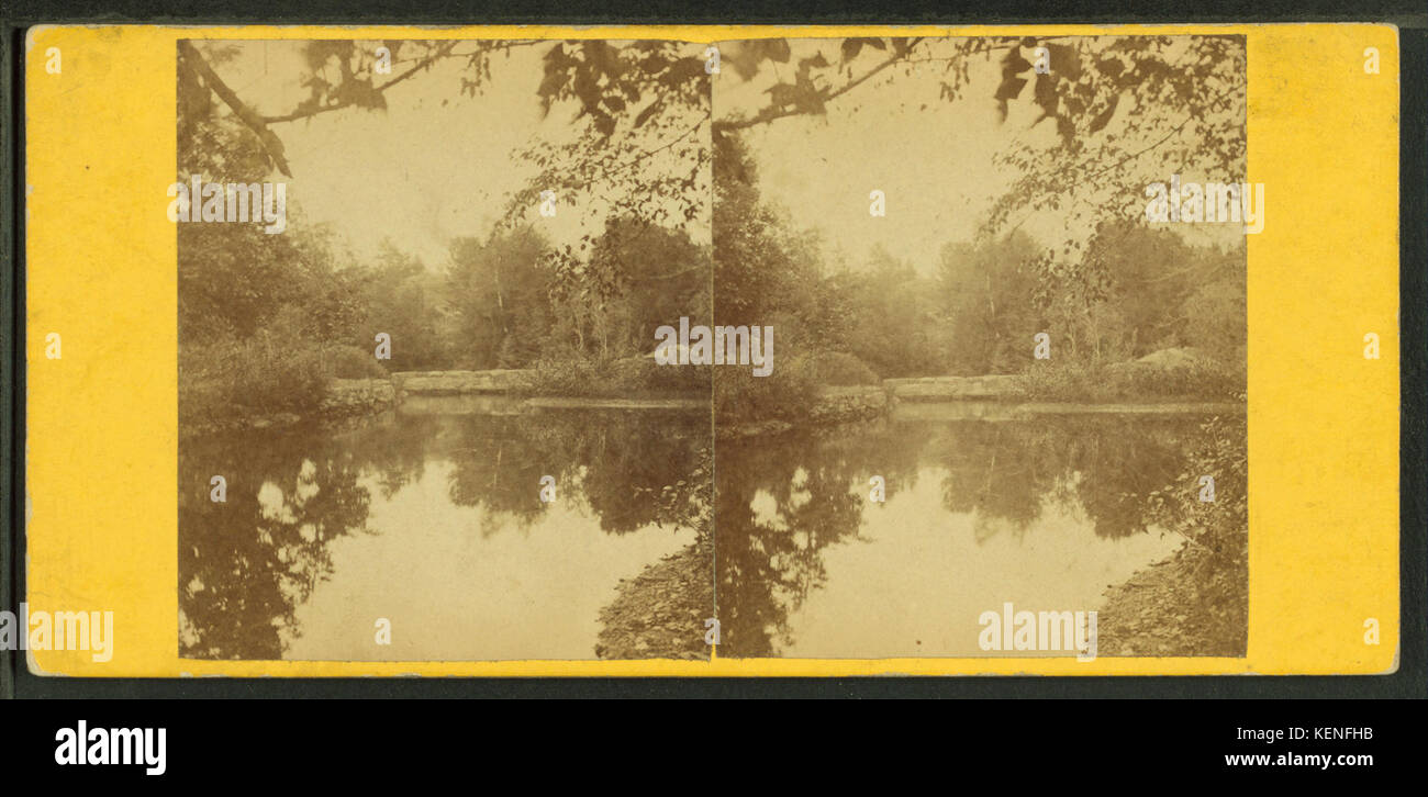 This stereoscopic view shows a picturesque scene of the lake at Forest ...