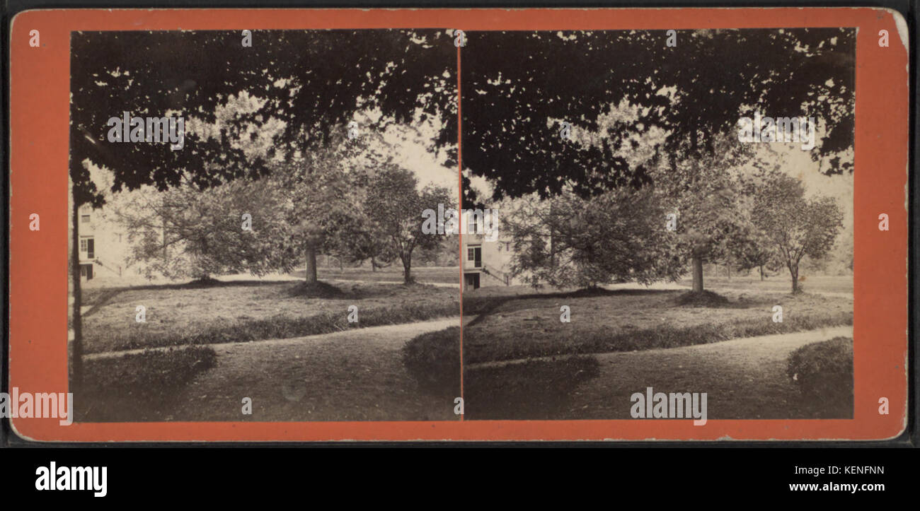 A beautiful depiction of a garden, created by J.L. & H.A. Jordan ...