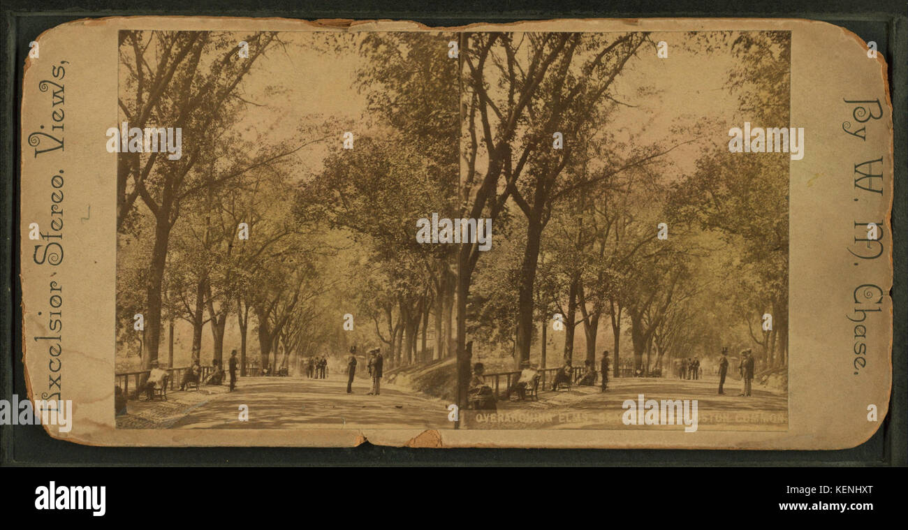 This artwork by William M. Chase shows a scene of overhanging elms at ...