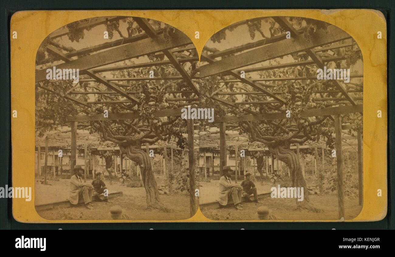 Robert Vine Photography High Resolution Stock Photography and Images ...