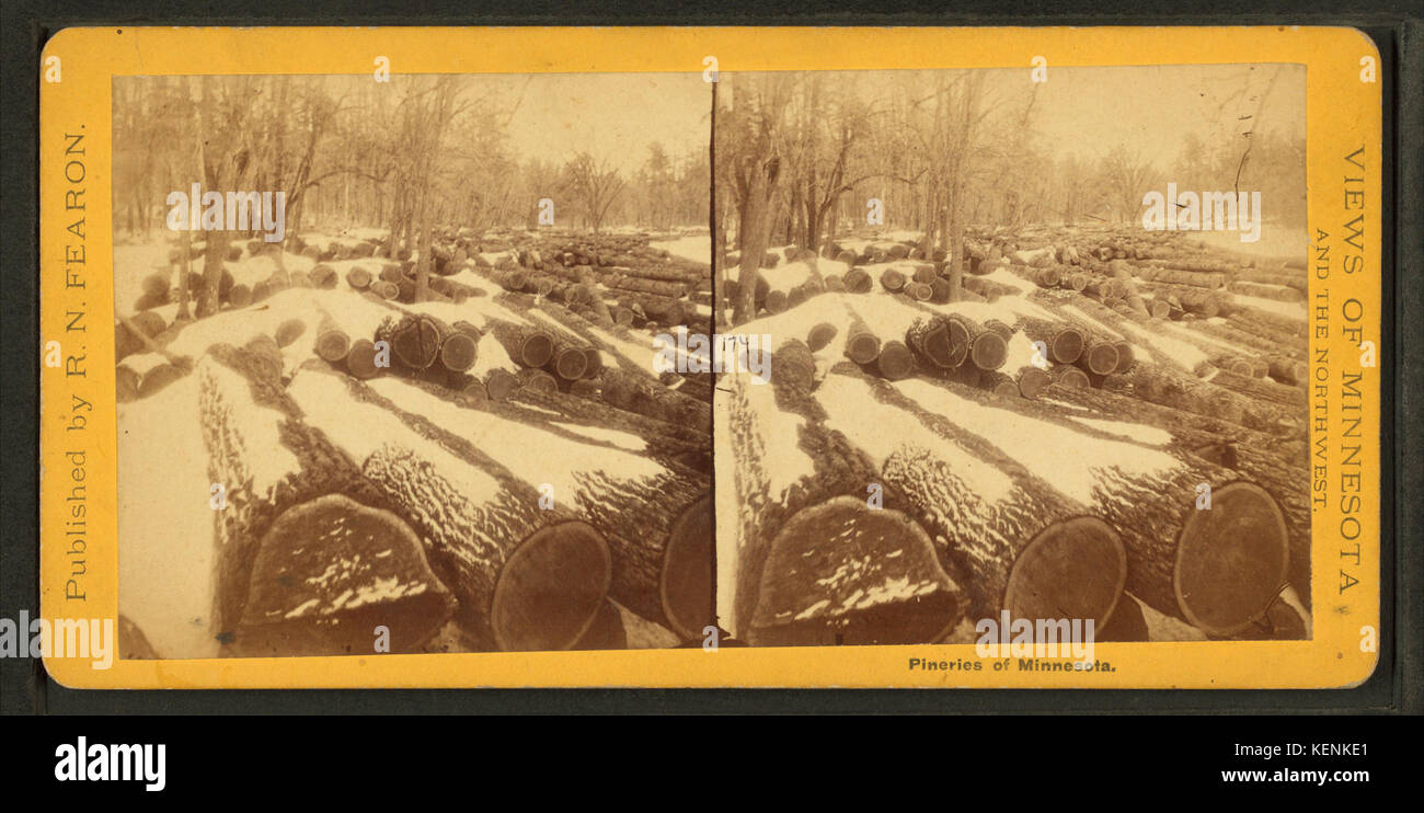 Pineries of Minnesota, by R. N. Fearon Stock Photo - Alamy