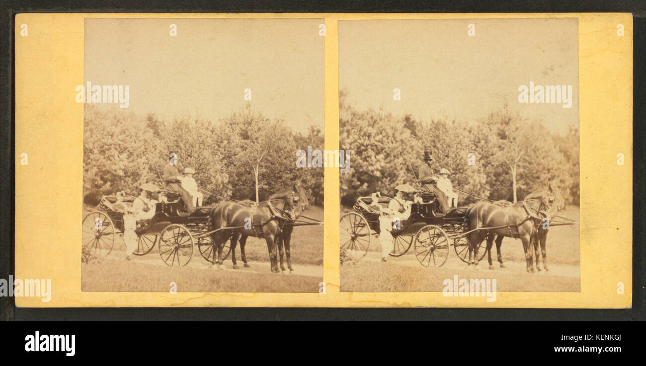 American coachman hi-res stock photography and images - Alamy