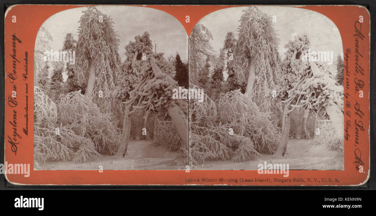 Stereoscopic views of Niagara Falls, by Keystone View Company Stock ...