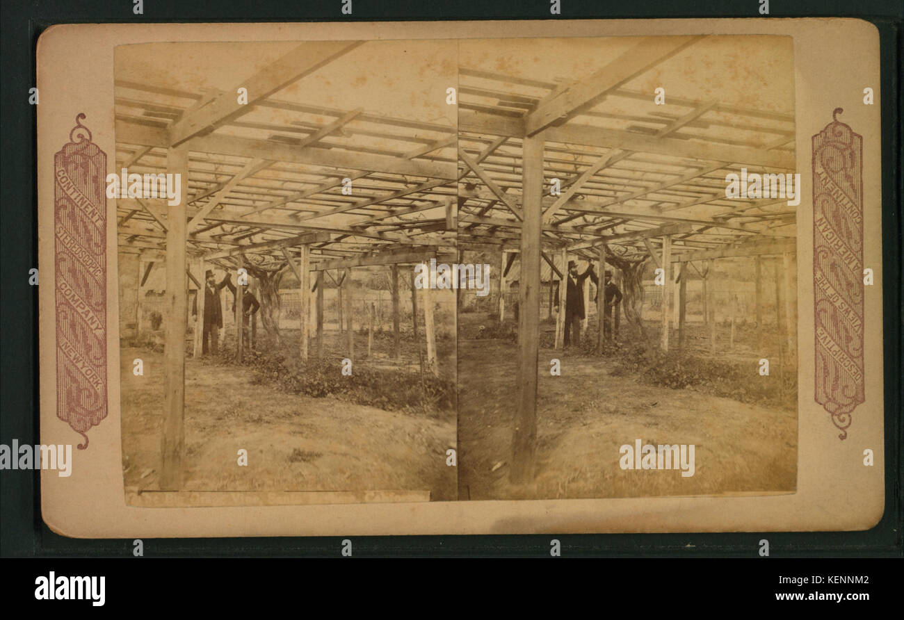 Robert vine photography hi-res stock photography and images - Alamy