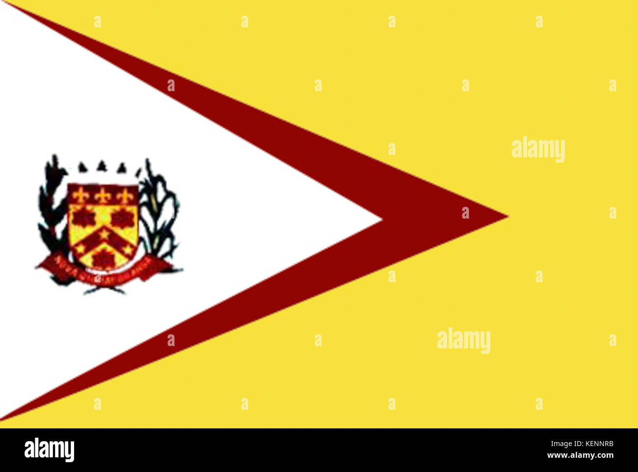 This image shows the flag of Nova Guataporanga, a locality known for ...