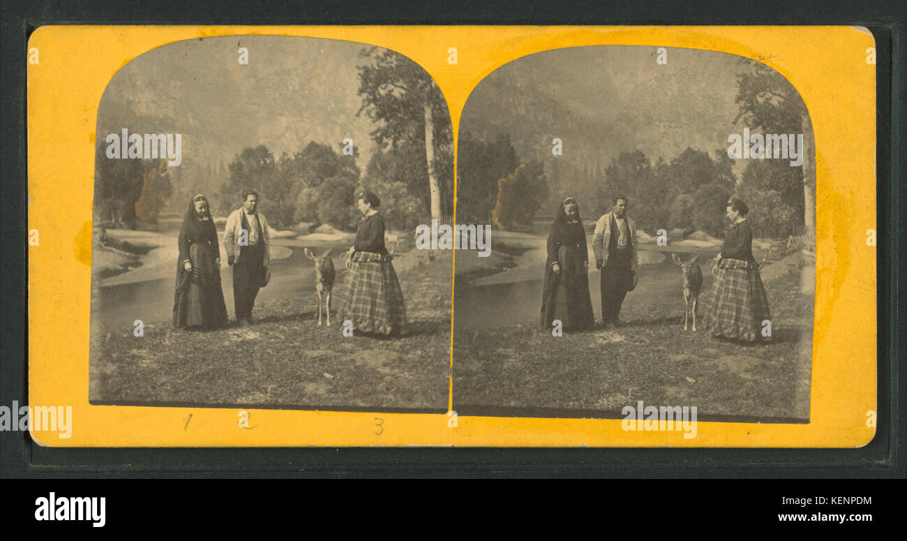 Tourists and a tame deer, from Robert N. Dennis collection of ...