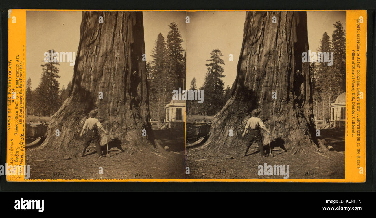 300 ft hi-res stock photography and images - Alamy