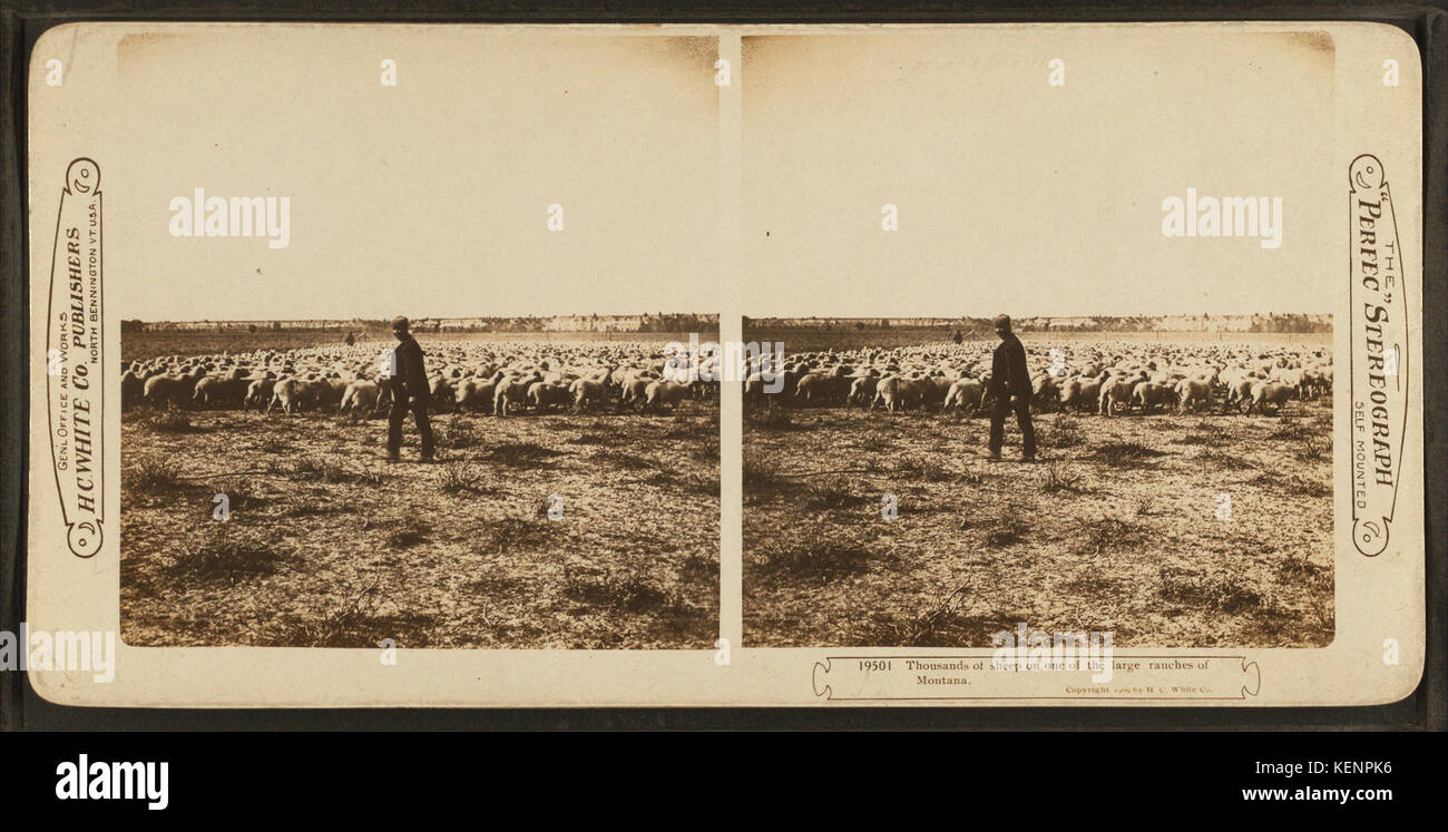 Large ranches hi-res stock photography and images - Alamy