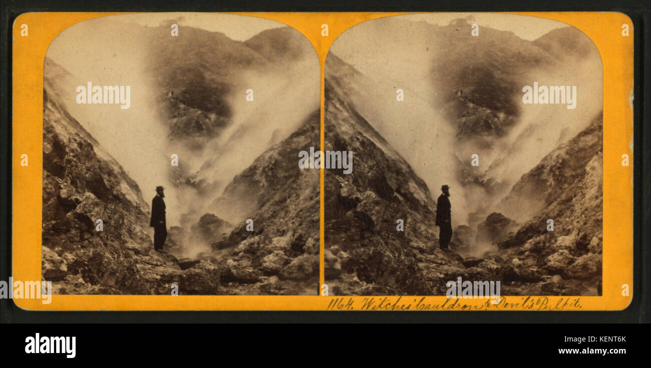 This photograph by Thomas Houseworth & Co captures two natural ...