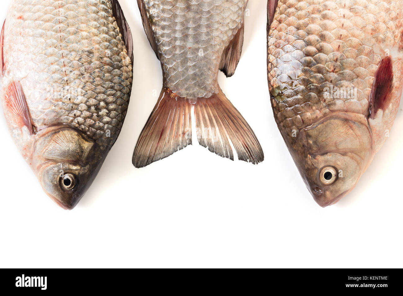 raw fish crucian on white isolated background Stock Photo - Alamy