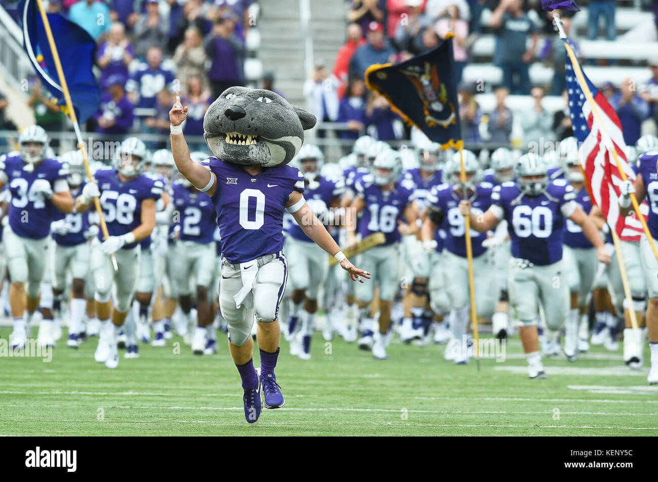 Willie wildcat hi-res stock photography and images - Alamy