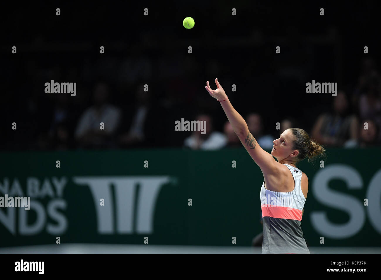 Karolina pliskova venus williams hi-res stock photography and images ...