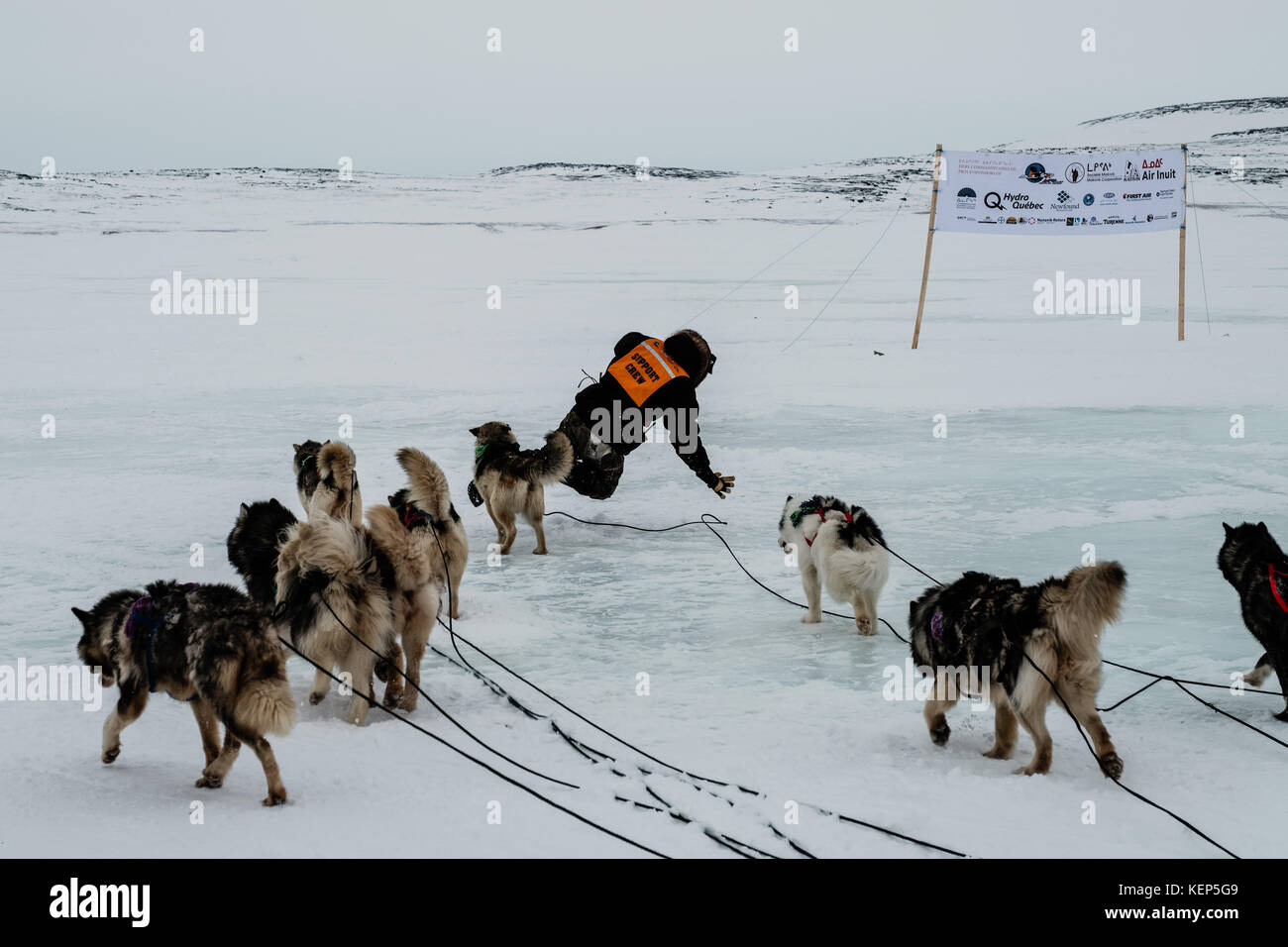 Canada inuit dogs hi-res stock photography and images - Alamy