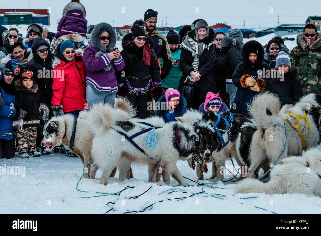Inukjuak, Nunavik, Quebec, Canada. 31st Mar, 2017. While the Husky dogs ...