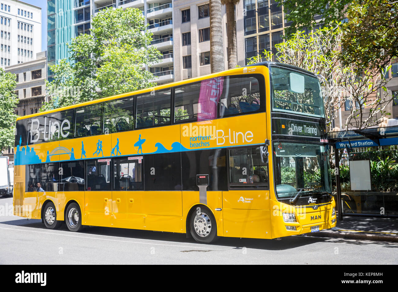 Sydney b line bus hi-res stock photography and images - Alamy