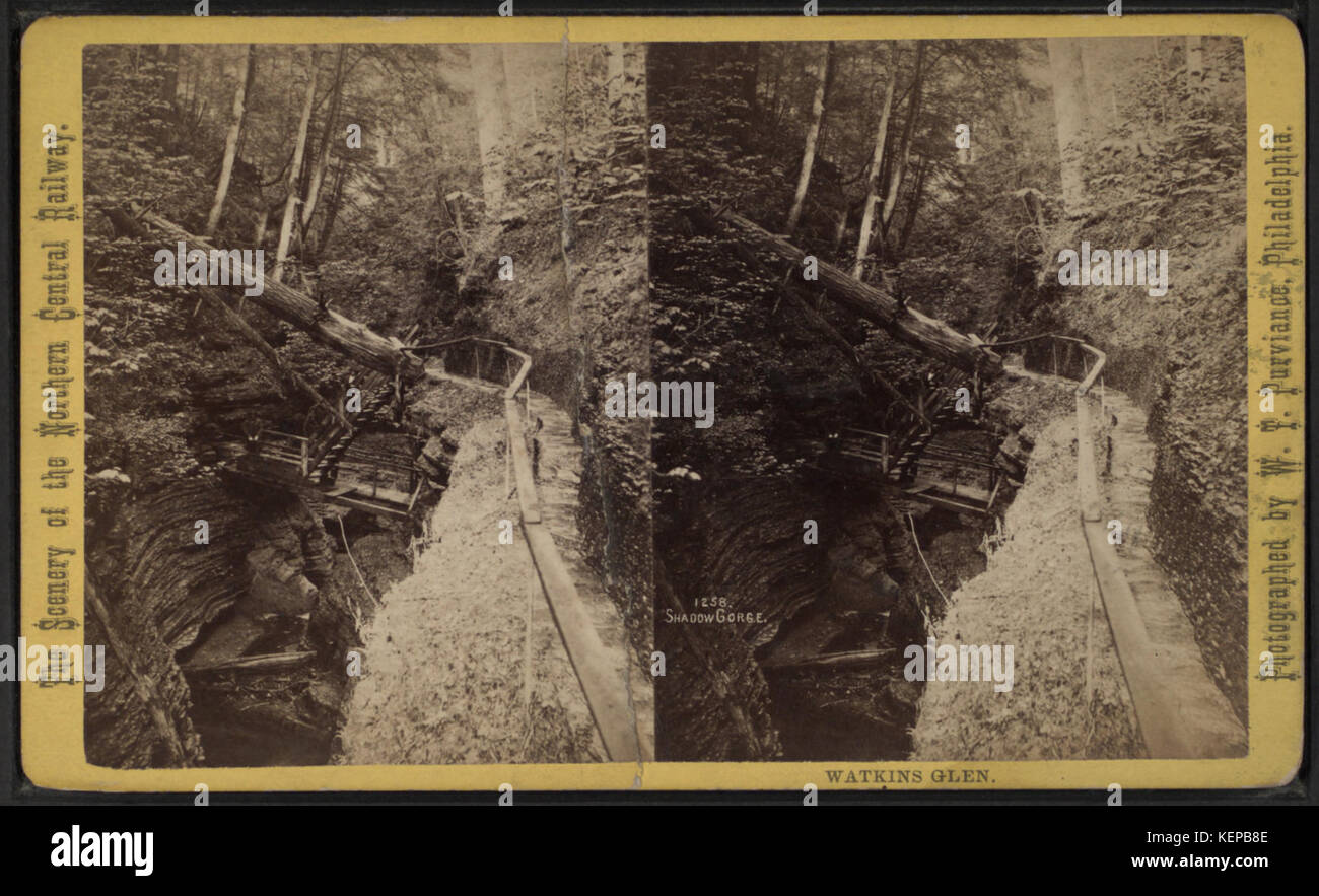 A work titled 'Shadow Gorge' by W.T. Purviance, possibly an ...