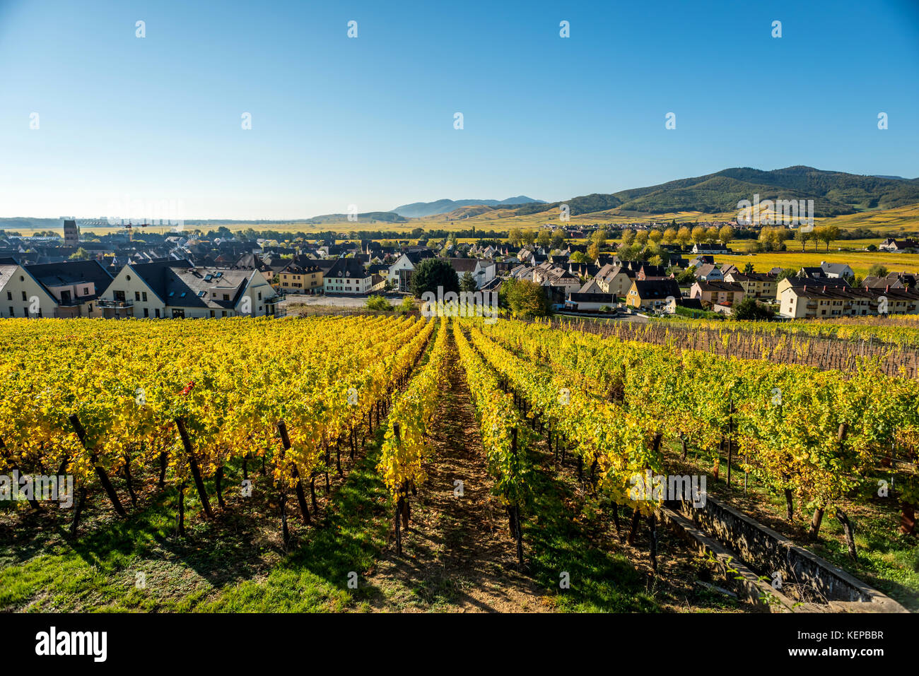 Kientzheim, Alsace in France Stock Photo - Alamy